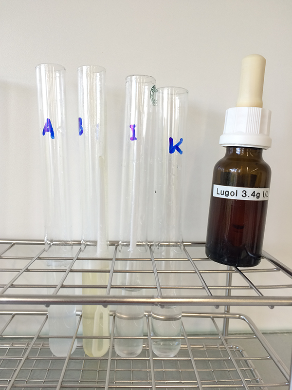 To bee or not to bee: the chemistry of honey – scienceinschool.org