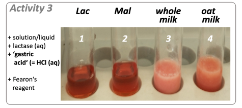 Explore enzymes and the science of lactose intolerance using lactase ...
