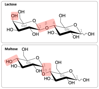 Explore enzymes and the science of lactose intolerance using lactase ...
