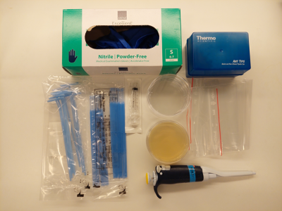 Footprints in the agar: growing bacteria from ants’ feet to combat ...