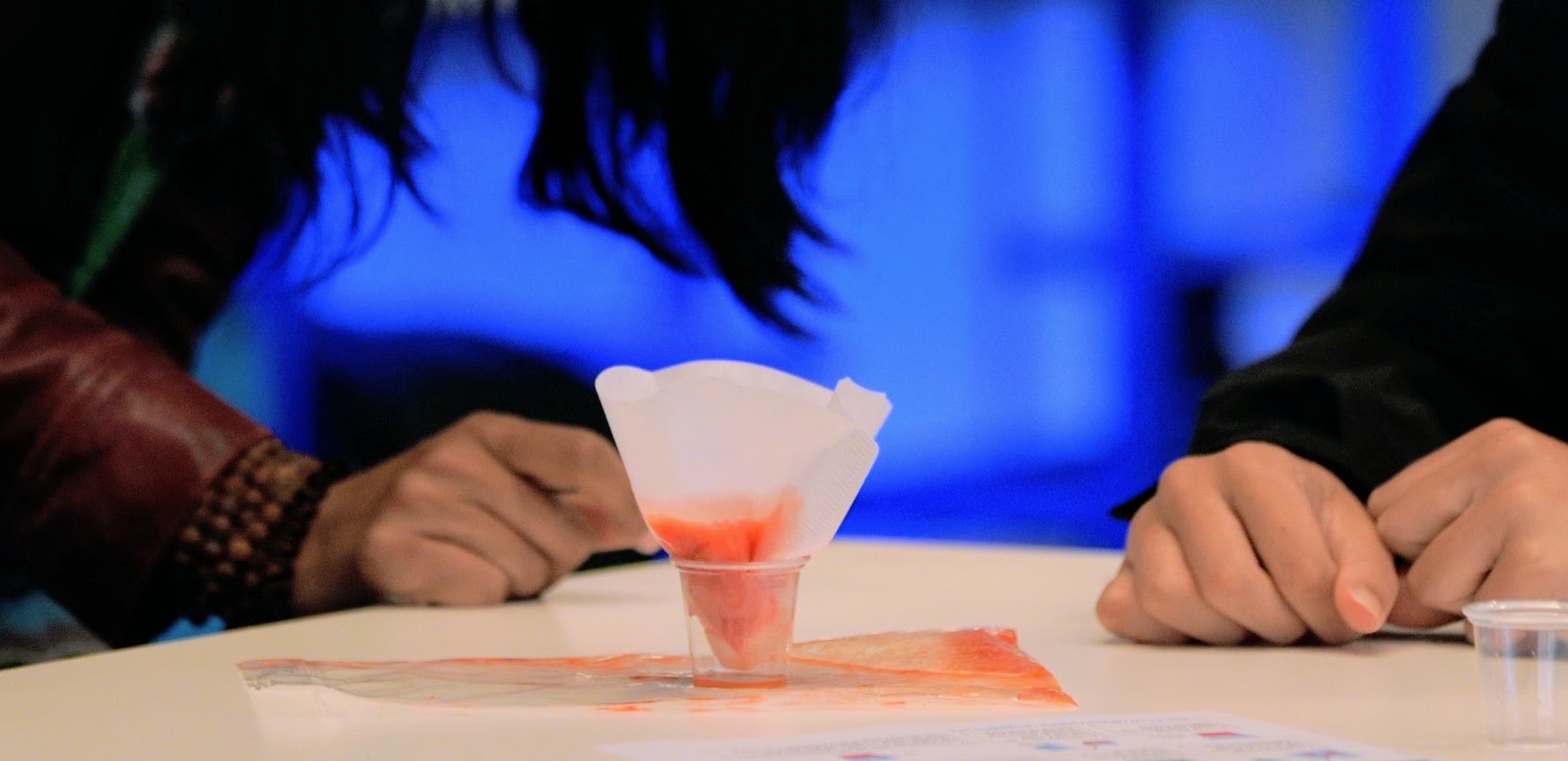 Plant genetics: extract DNA and explore the challenge of gene ...