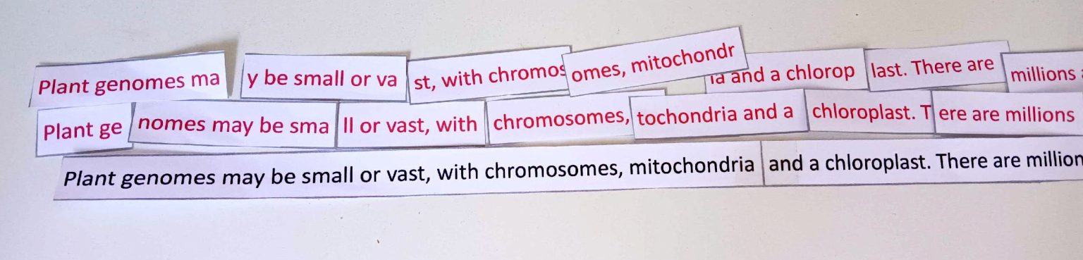 Plant genetics: extract DNA and explore the challenge of gene ...