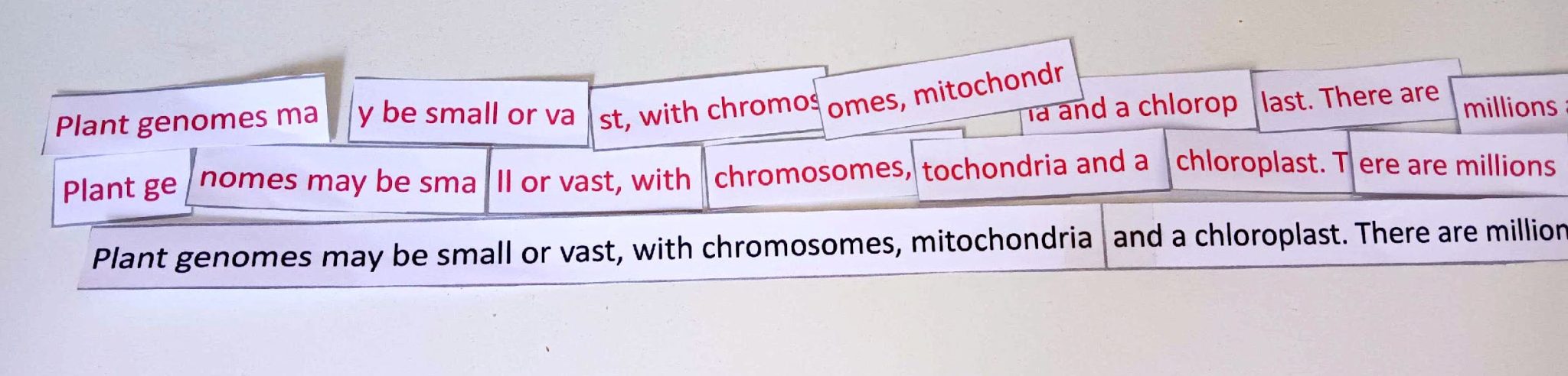 Plant genetics: extract DNA and explore the challenge of gene ...
