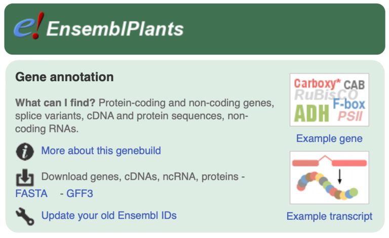 Plant genetics: extract DNA and explore the challenge of gene ...
