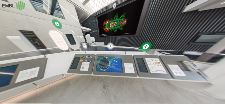 Explore the world of molecular biology without leaving the classroom ...