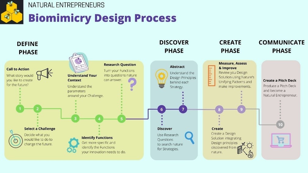 Biomimicry: a nature-based approach to designing sustainable futures ...