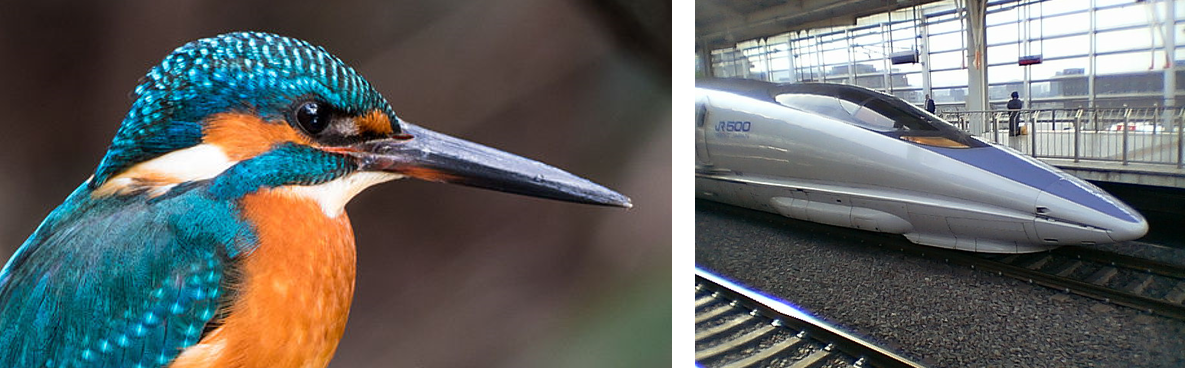 Biomimicry: a nature-based approach to designing sustainable futures ...