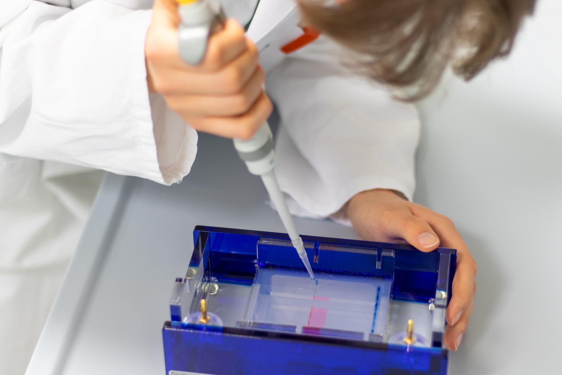 Xcool Lab at European XFEL: a place to spark students’ scientific ...