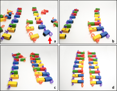 Handmade DNA: a tactile model to explore the basics of DNA ...