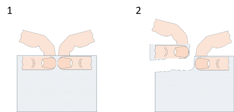 Science in a toilet-paper roll – scienceinschool.org