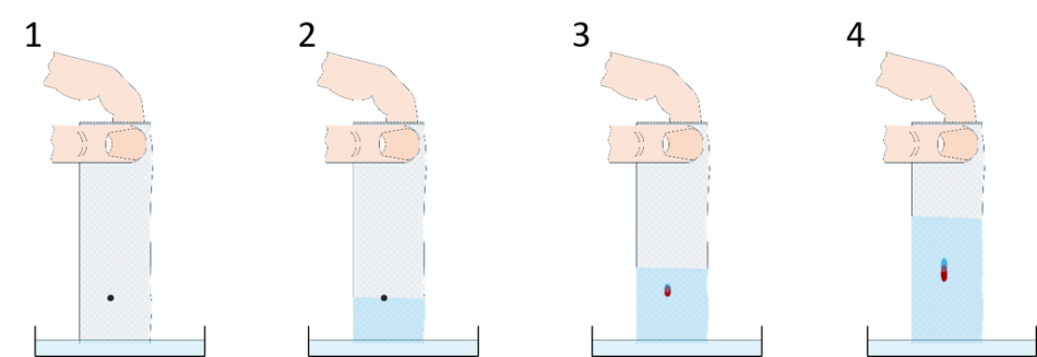 Science in a toilet-paper roll – Science in School