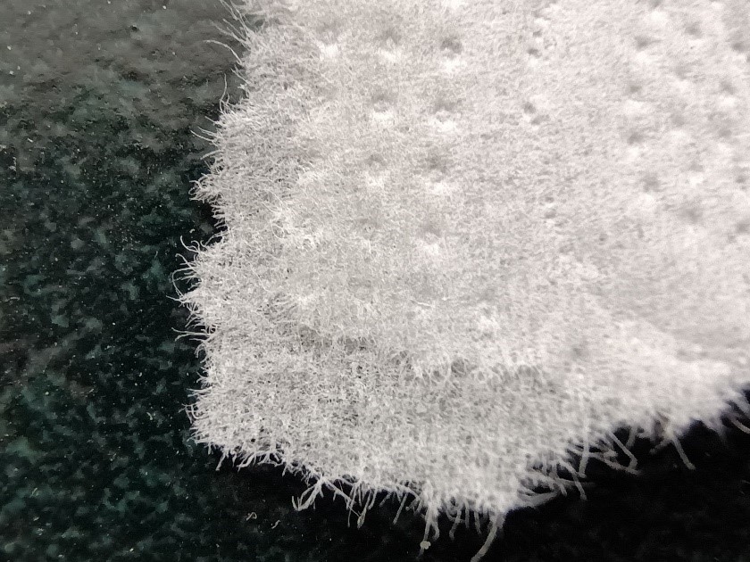 Science in a toilet-paper roll – scienceinschool.org
