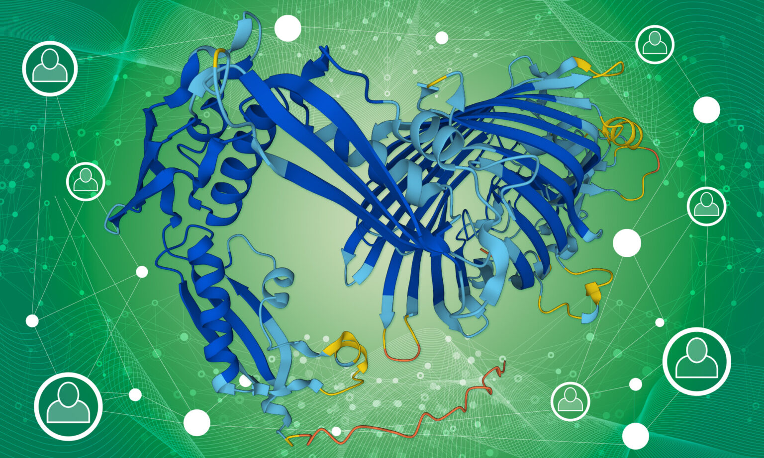 Nature’s body builders: explore the fascinating world of proteins ...