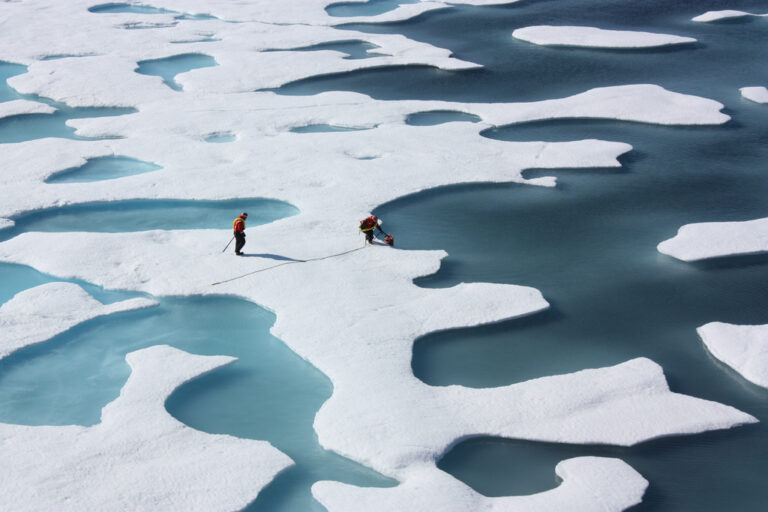 Albedo and ice: positive feedback in action – scienceinschool.org