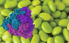 Nature’s body builders: explore the fascinating world of proteins ...