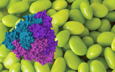 Nature’s body builders: explore the fascinating world of proteins ...