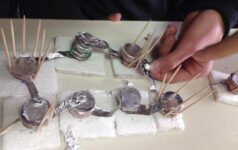 The birth of electrochemistry: building a simple voltaic pile ...