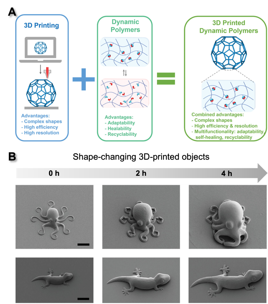 The exciting future of 3D printing – scienceinschool.org