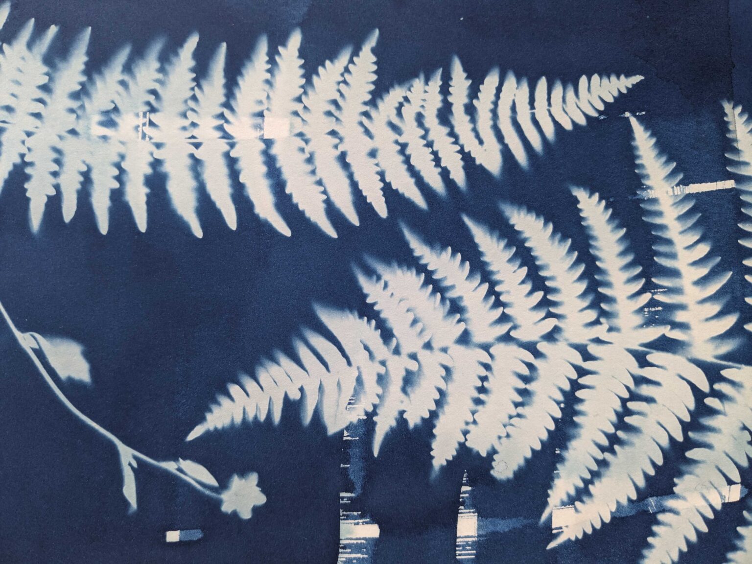 Adventures in cyanoprinting: where art and chemistry meet ...